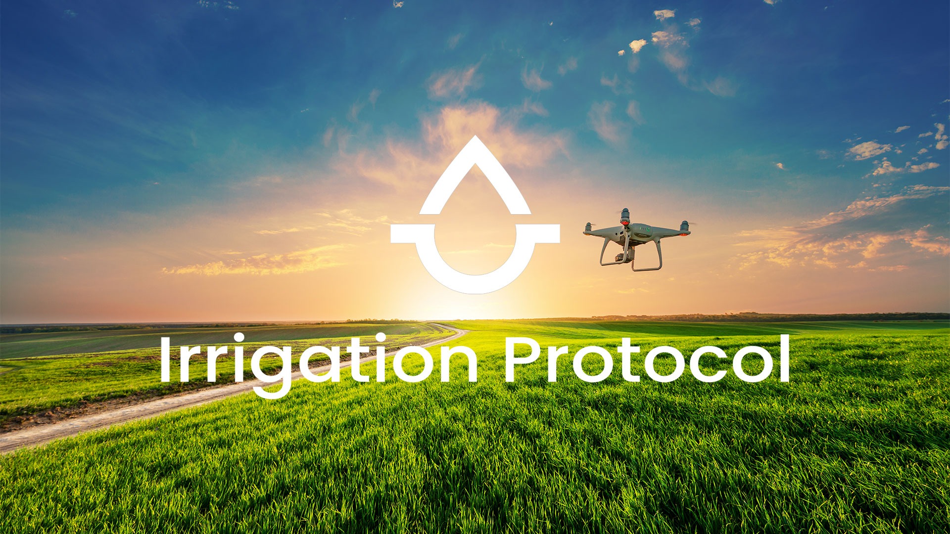 Irrigation An Optimization Protocol